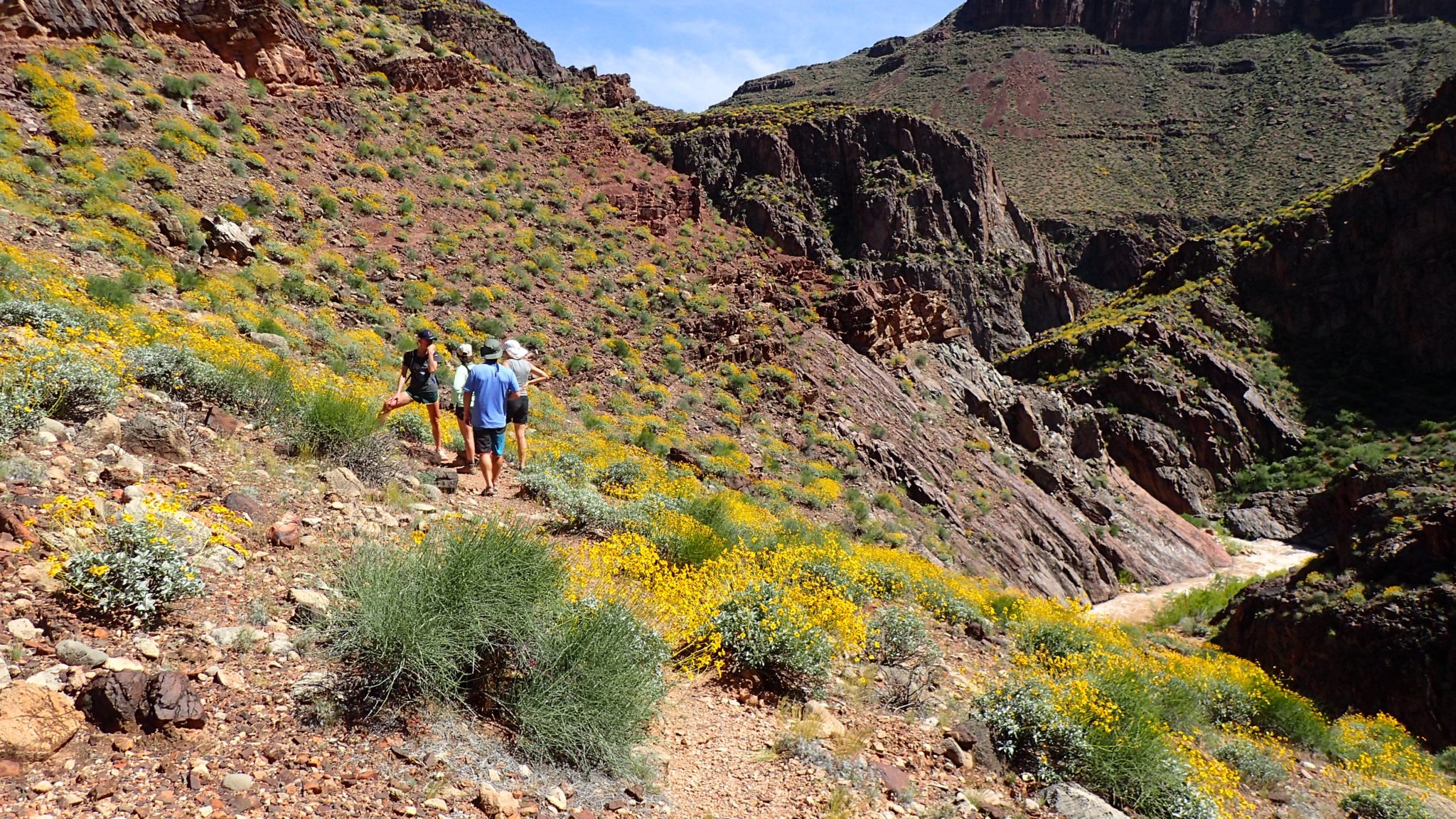 Best Whitewater Rafting Shoes and Sandals - Best Rafting and Kayaking ...